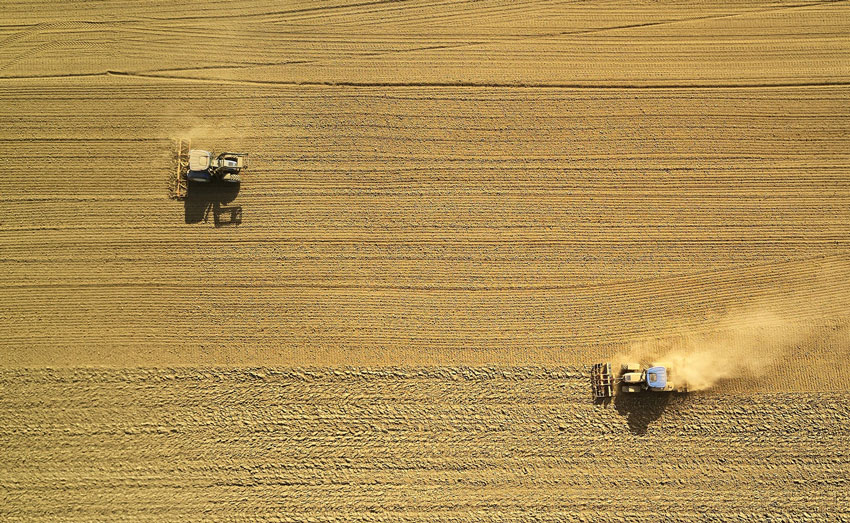 labour-saving technology? | Headspring Executive Development