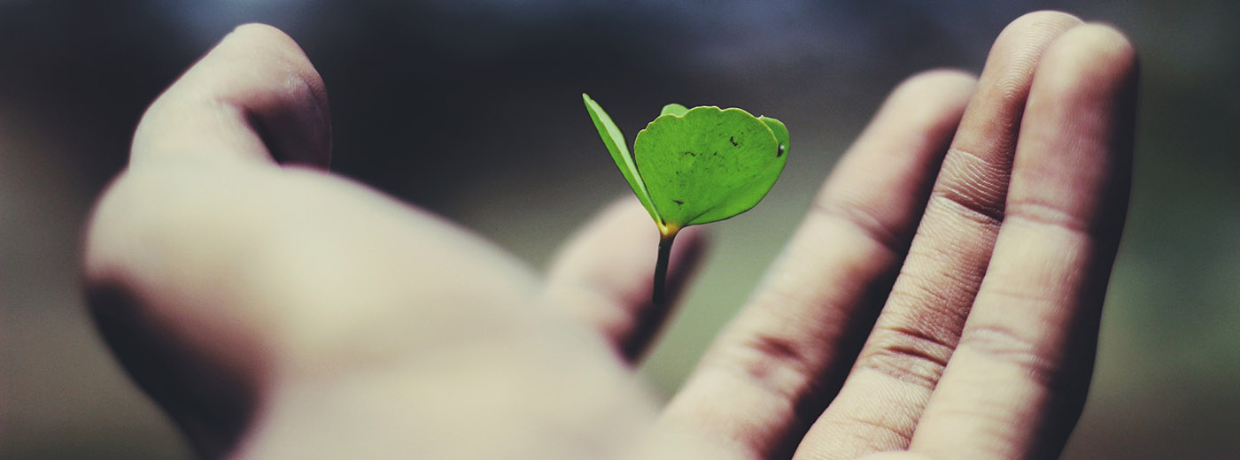 The Paradox Of Powerful Leadership | Headspring Executive