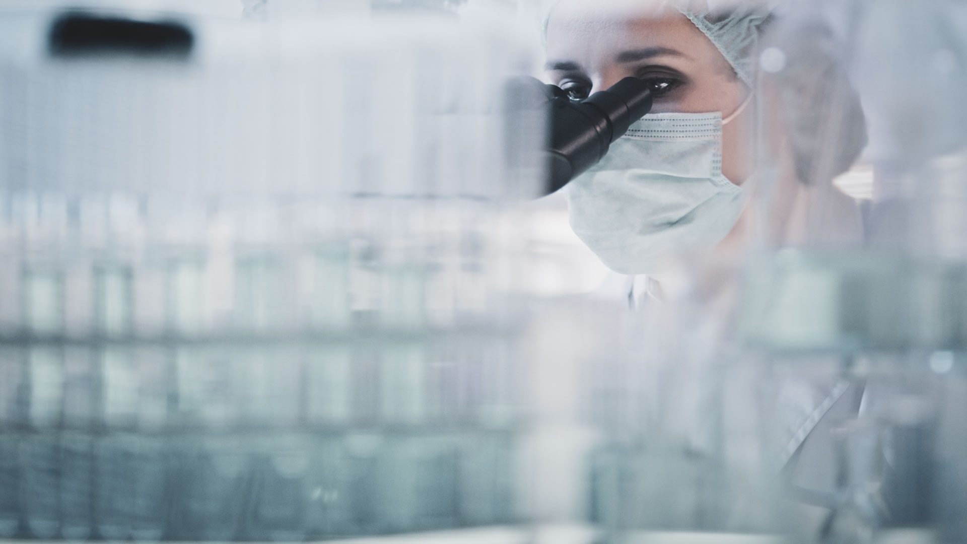 Roche Learning and Development [Case Study] - Headspring Executive Development