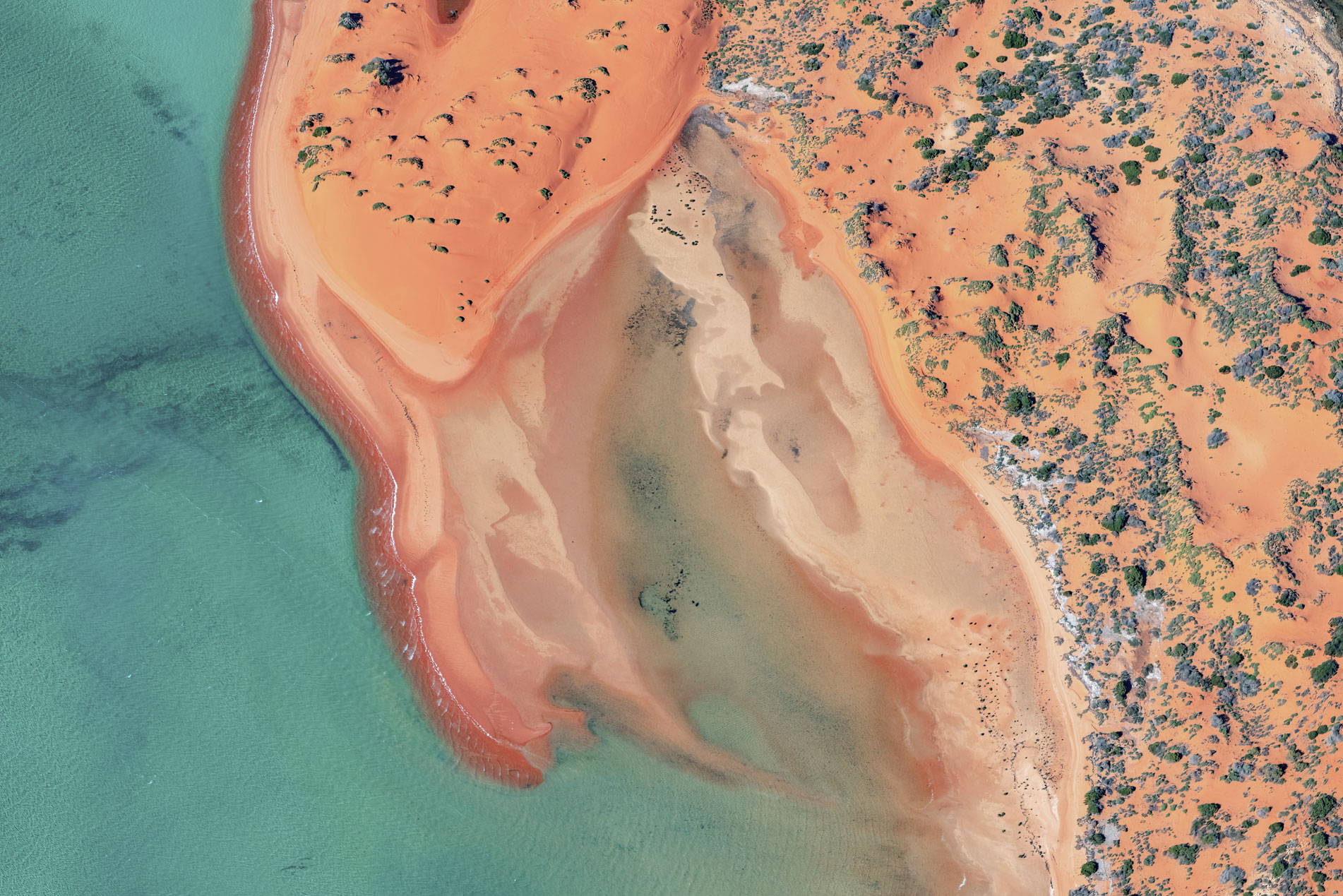 Why Your Company Needs A Purpose Moonshot - Headspring Executive ...